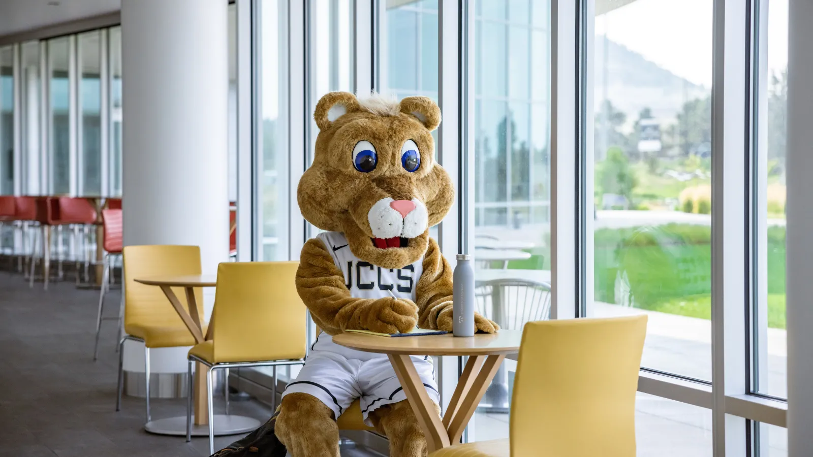 Apply | UCCS